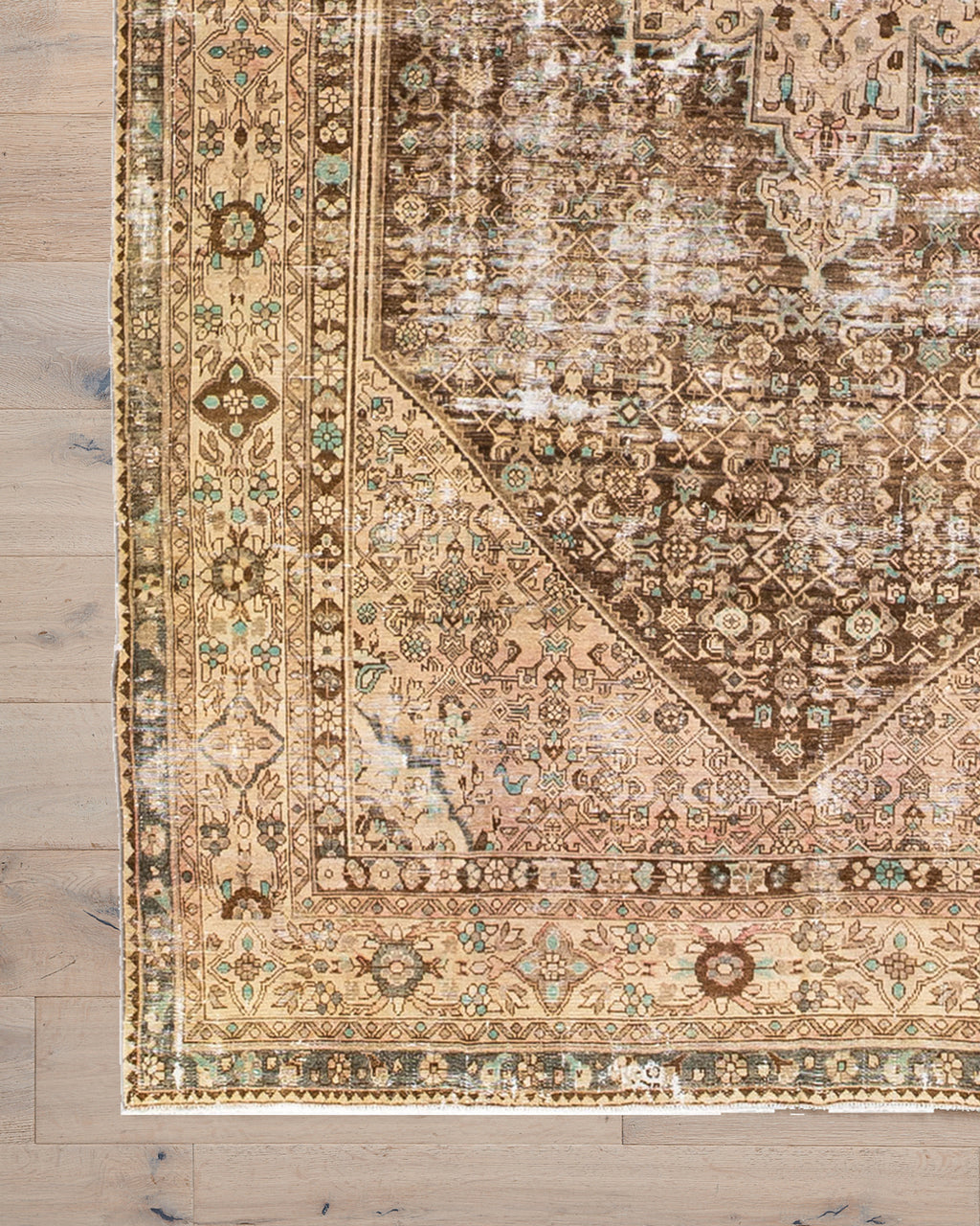PRISCILLA (9 x 16) – The Vintage Rug Shop