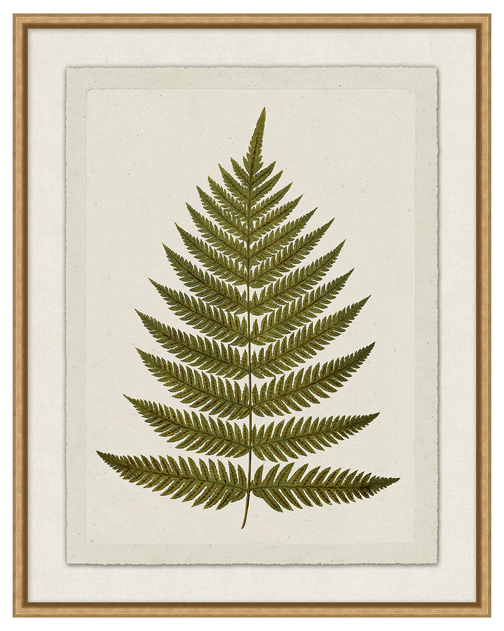 Fern Leaf Press III – The Vintage Rug Shop